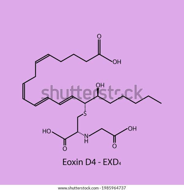 Eoxin D4 Eoxin Biomolecule Molecular Formula Stock Vector (Royalty Free ...