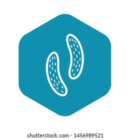Epithelial Cell Icon Simple Illustration Epithelial Stock Vector ...