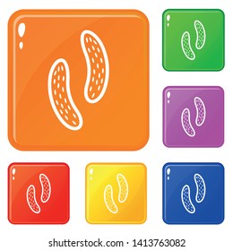 Epithelial Cell Icons Set Collection Vector Stock Vector (Royalty Free ...