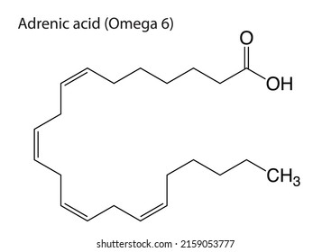 Eps Molecular Structure Adrenic Acid Omega Stock Vector (Royalty Free ...