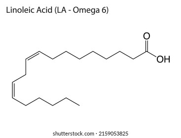 Eps Molecular Structure Linoleic Acid Omega Stock Vector (Royalty Free ...