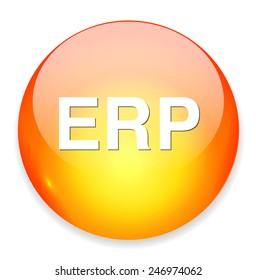 Erp Icon Stock Vector (Royalty Free) 246974062 | Shutterstock