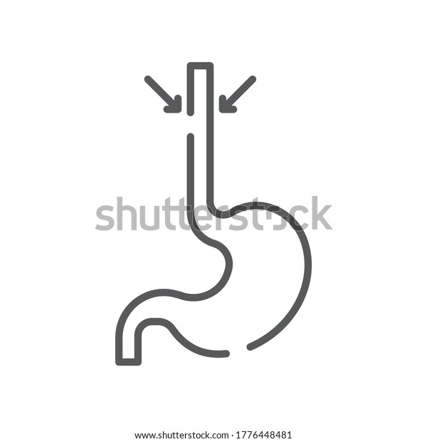 Esophagus Vector Icon Symbol Anatomy Isolated: เวกเตอร์สต็อก (ปลอดค่า ...