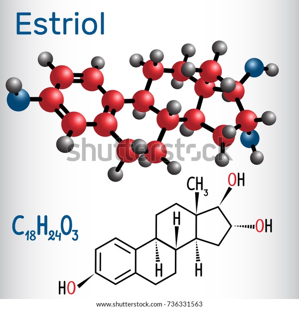 Estriol E3 Estrogen Minor Female Sex Stock Vector (Royalty Free ...
