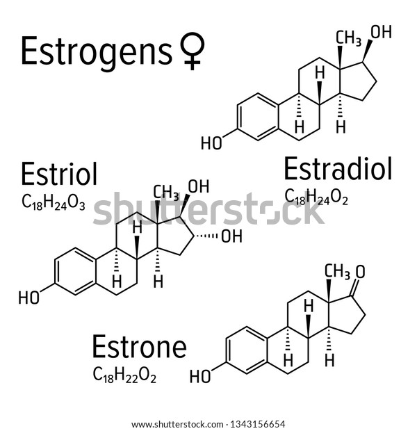 Estrogens Vector Chemical Formulas Estradiol Estriol Stock Vector ...