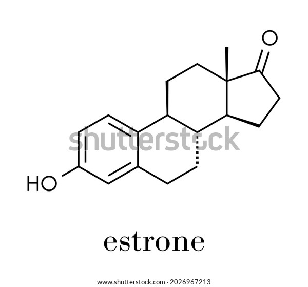 Estrone Oestrone Human Estrogen Hormone Molecule Stock Vector (Royalty ...