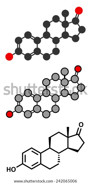 Estrone Oestrone Human Estrogen Hormone Molecule Stock Vector (Royalty ...
