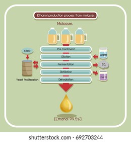 412 Molasses Process Images, Stock Photos & Vectors | Shutterstock