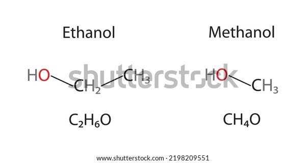 Ethanol Ve Methanol Molecular Models Chemical Stock Vector (Royalty ...