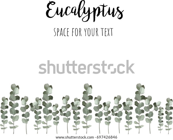 Eucalyptus Background Vector Illustration Stock Vector (Royalty Free ...