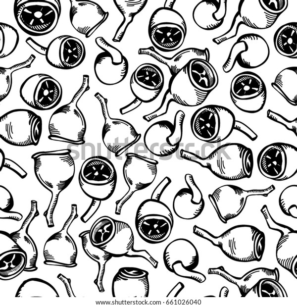 Eucalyptus Gum Nuts Hand Drawn Seamless Stock Vector (Royalty Free ...
