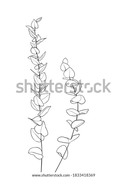 Vektor Stok Eucalyptus Leaves One Line Drawing Art (Tanpa Royalti ...