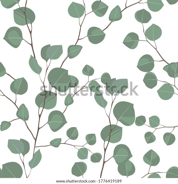 Eucalyptus Silver Dollar Tree Foliage Natural Stock Vector (Royalty ...