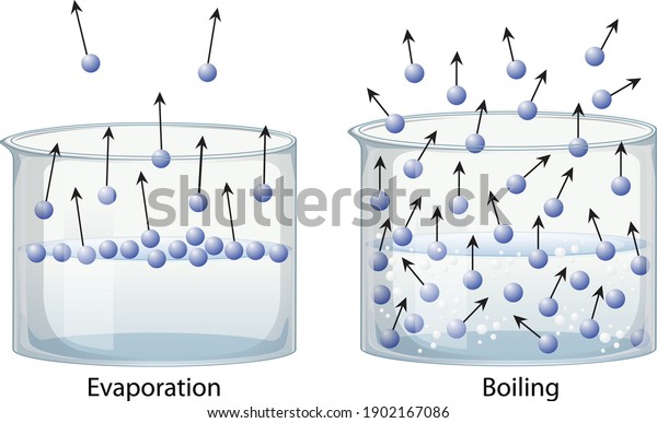 Evaporation Boiling Point Liquids Vector Illustration: เวกเตอร์สต็อก ...