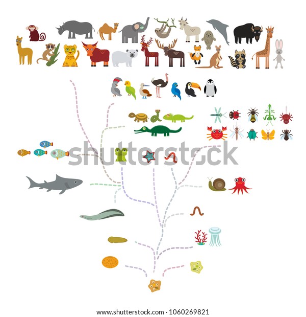 Evolution Biology Scheme Evolution Animals Isolated 스톡 벡터(로열티 프리 ...
