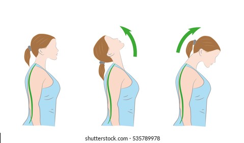 1,858 Neck Stretch Stock Vectors, Images & Vector Art | Shutterstock