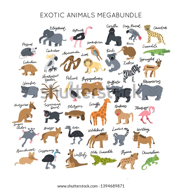 Exotic Animals Vector Illustrations Clipart Bundle Arkivvektor ...