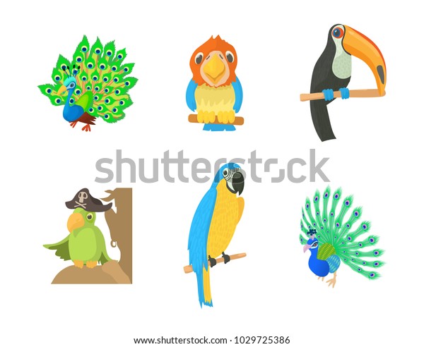 Exotic Bird Icon Set Cartoon Set: เวกเตอร์สต็อก (ปลอดค่าลิขสิทธิ์) 1029725386 | Shutterstock