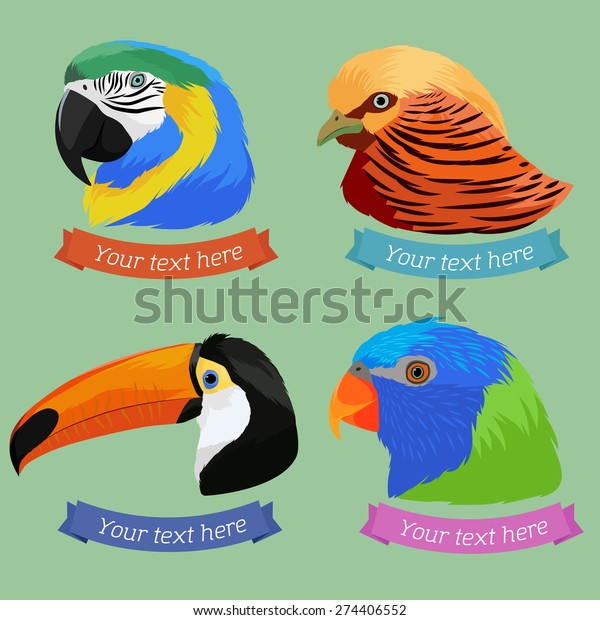 Exotic Birds Logo Design Set Illustration Stock Vector (Royalty Free ...
