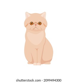 Exotic Cat On White Background Cartoon Stock Vector (Royalty Free ...