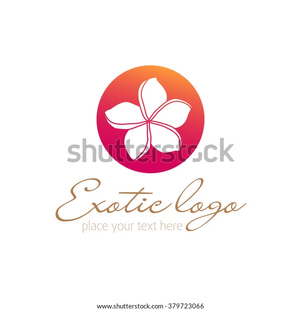 Exotic Flower Logo Design Concept Bright Stock Vector (Royalty Free ...