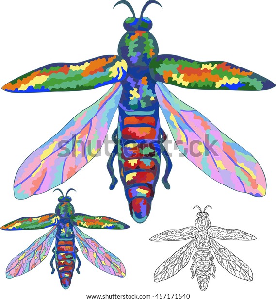 Exotic Fly Isolated On White Background Stock Vector (Royalty Free ...