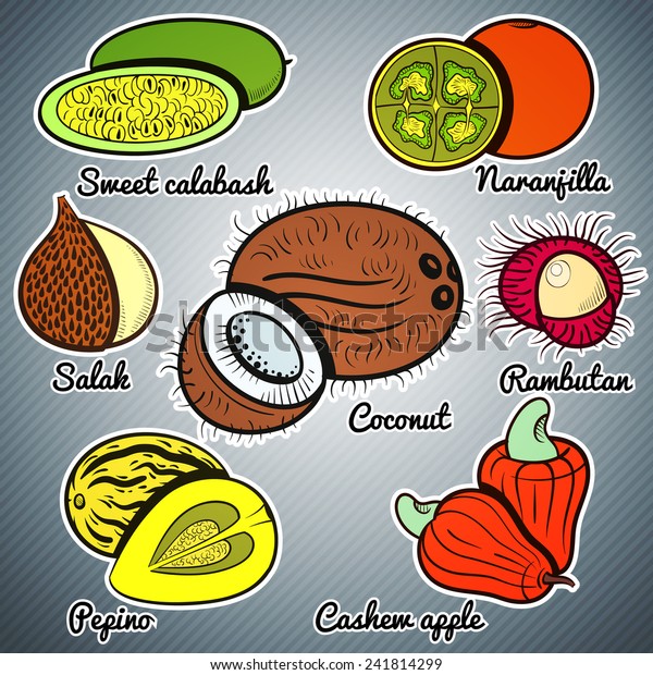 Exotic Fruit Color Set Vector Illustration Stock Vector (Royalty Free ...