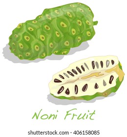 643 Noni fruit vector Images, Stock Photos & Vectors | Shutterstock