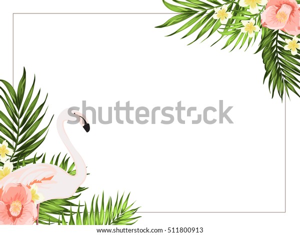 Exotic Tropical Corner Frame Decoration Elements Stock Vector (Royalty ...