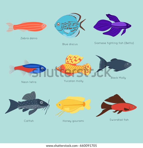 Exotic Tropical Fish Different Colors Underwater Stock Vector (Royalty ...