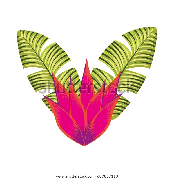 Exotic Tropical Flower Icon Vector Illustration Stock Vector (Royalty ...