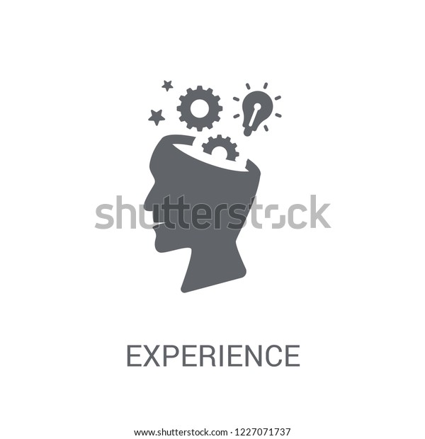 Experience Icon Trendy Experience Logo Concept Stock Vector (Royalty ...