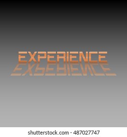 Experience Tag Mirror Shadow Stock Vector (Royalty Free) 487027747 ...
