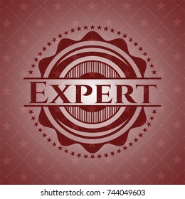 Expert Badge Red Background Stock Vector (Royalty Free) 744049603 ...