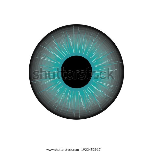 Eye Ball Vector Business Stock Vector (Royalty Free) 1923453917 ...