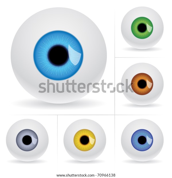 Eye Balls Vector Illustration On White Stock Vector (Royalty Free ...