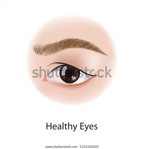 Eye Diseases Problem Vector Illustration Stock Vector (Royalty Free ...