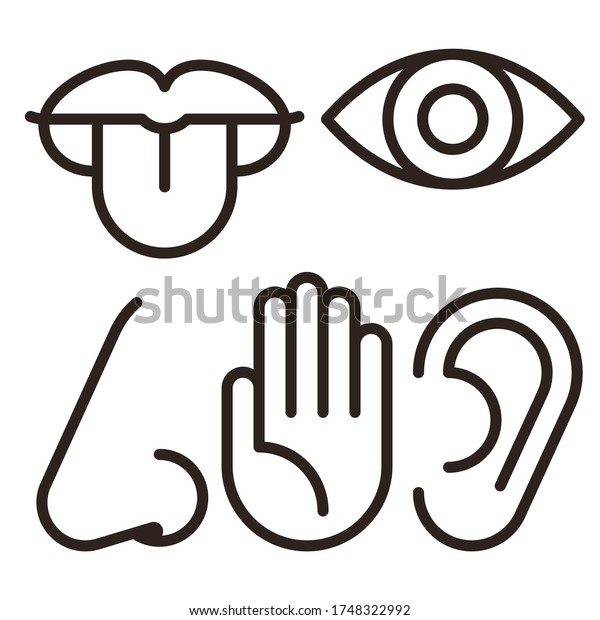 Eye Ear Lips Nose Hand Five Stock Vector (Royalty Free) 1748322992 ...