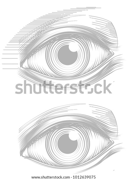 Eye Line Drawing Vector Illustration Stock Vector (Royalty Free ...