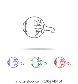 Eyeball Anatomy Icon Medical Side View Stock Vector (Royalty Free ...
