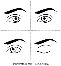Eyes Set Black Linear Eye Icon Stock Vector (Royalty Free) 1325571866 ...