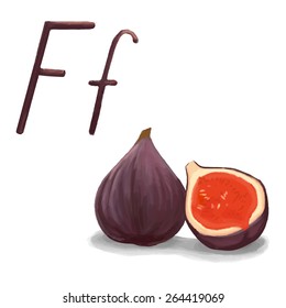 F Fig Vector Illustration Handdrawn Style Stock Vector (Royalty Free ...