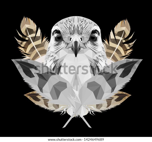 Falcon Feathers On Black Background Low Stock Vector (Royalty Free ...