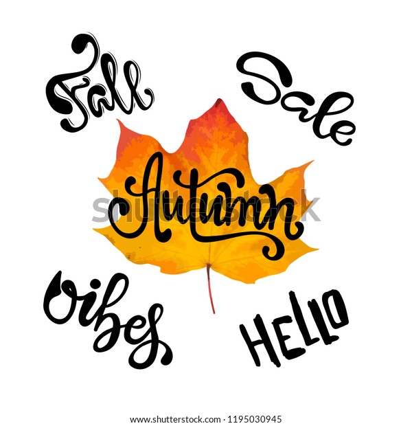 Fall Calligraphy Set Big Set Autumn Stock Vector (Royalty Free ...
