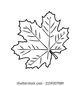Clipart Leaf Black And White