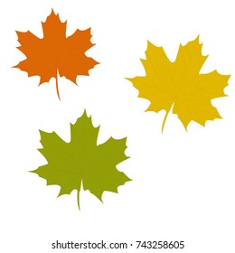 Fall Leaves Vector Set Autumn Season Stock Vector (Royalty Free ...