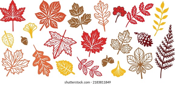 Fall Vector Floral Collection Botanical Illustration Stock Vector ...