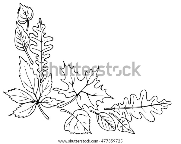 Fallen Leaves Autumn Frame Leaf Angle Stock Vector (Royalty Free) 477359725
