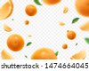 1,264,359 Transparent Effects Royalty-Free Images, Stock Photos ...