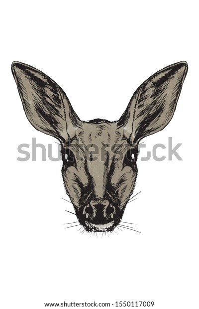 Fallow Deer Sketch Color Portrait Black Stock Vector (Royalty Free ...